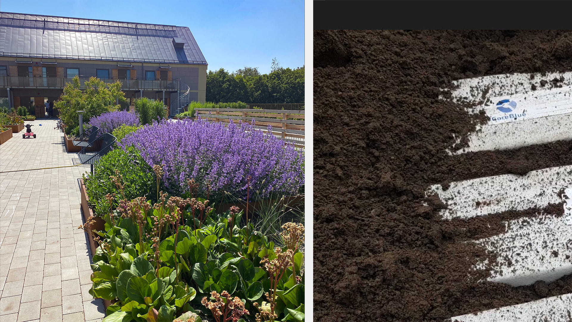 Ugens sponsortip - Passiv vanding med CoreBlue™ til glæde for byens grønne områder - Danske ...