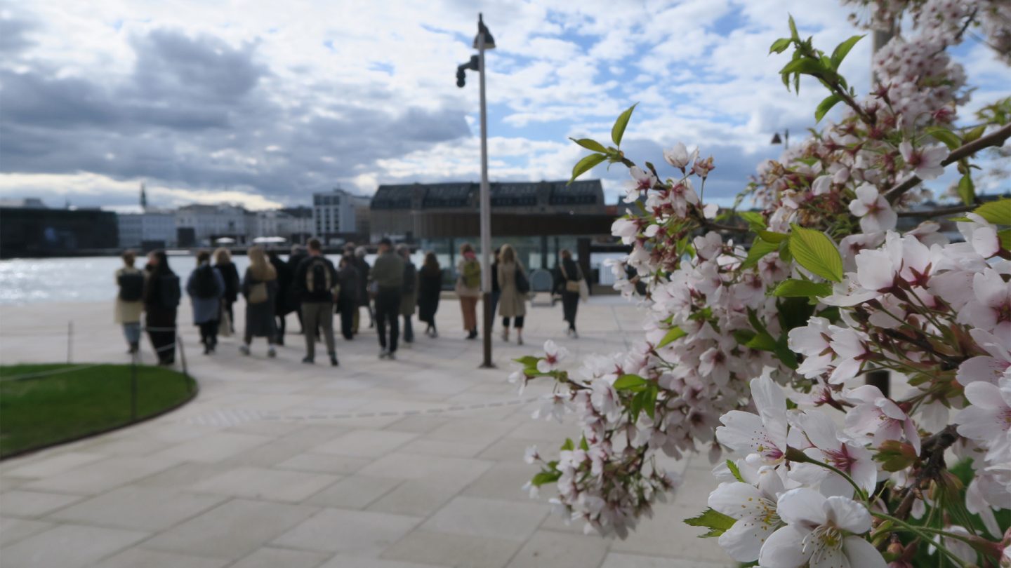 Vellykket fyraftensarrangement i Operaparken - Danske ...