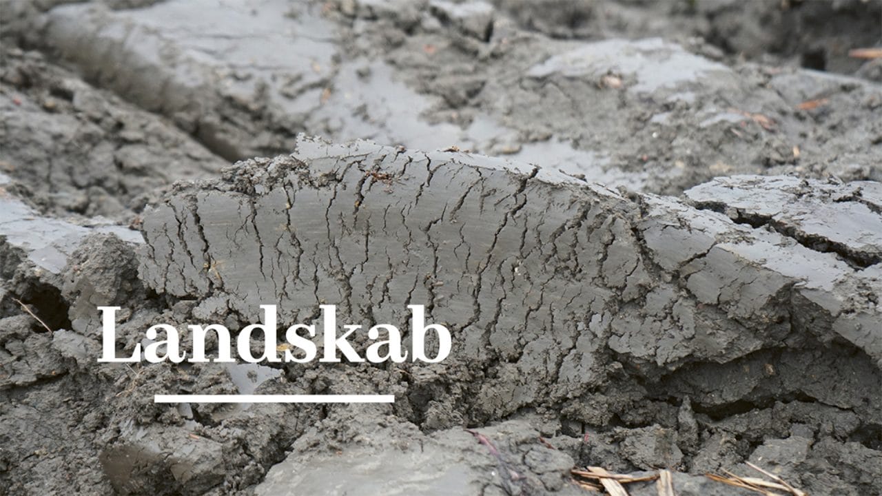 Anden udgave af Landskab fremhæver strategier for biodiversitet og nye ...