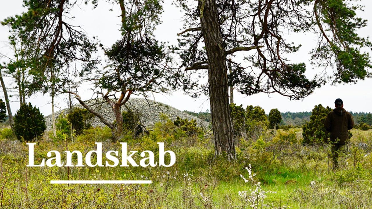 Femte udgave af Landskab udforsker Gotland og Fårös særegne landskaber ...